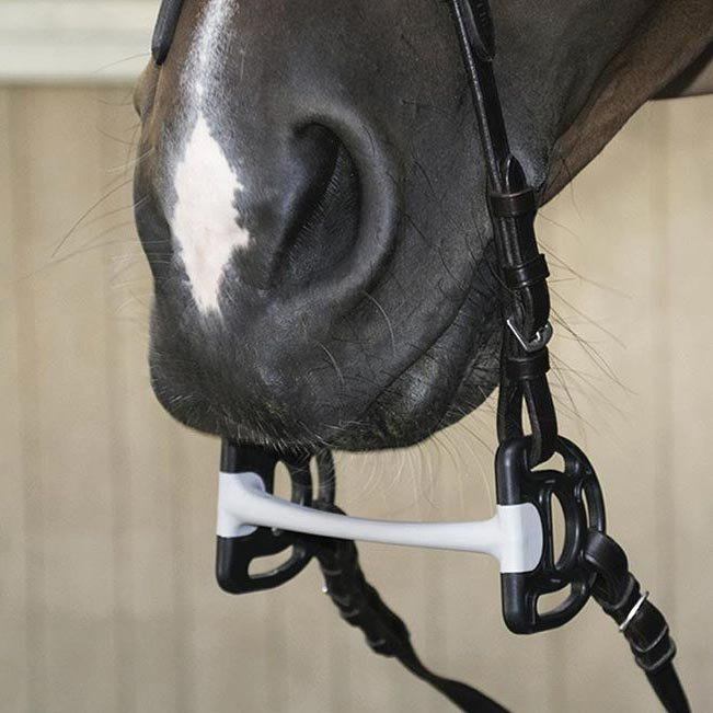 Acavallo Sensitive Bit